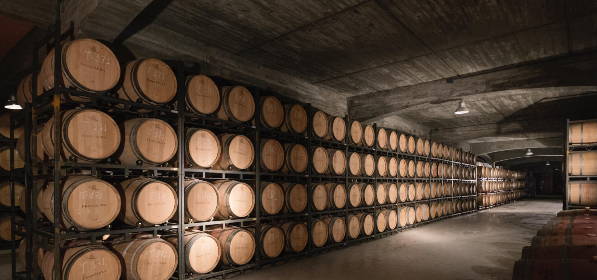 Home | Bodegas Nexus y Frontaura